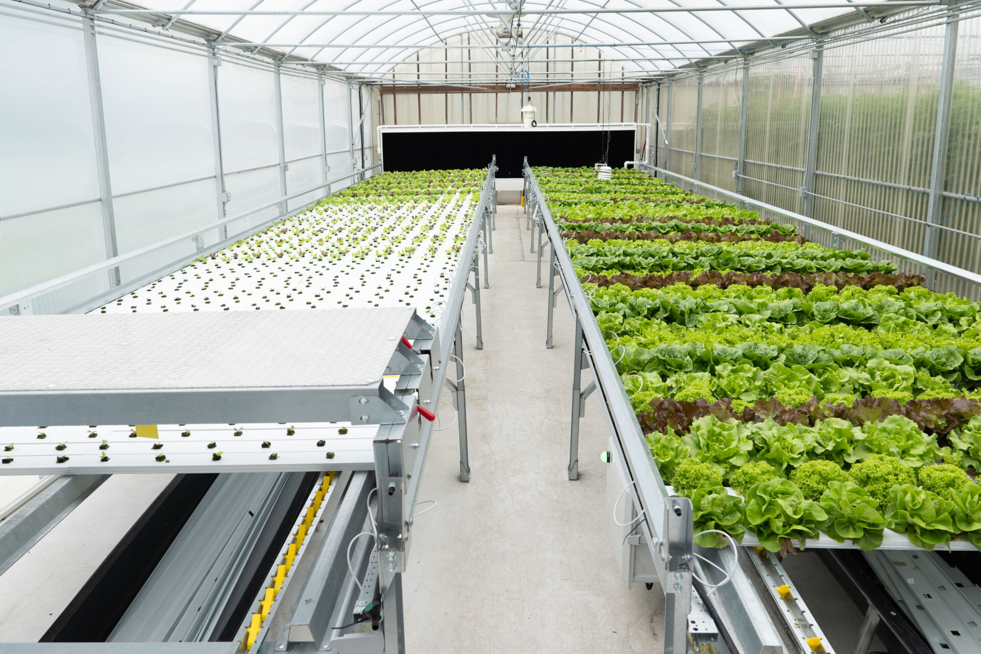 LUBING Greentec | Fogging Systems